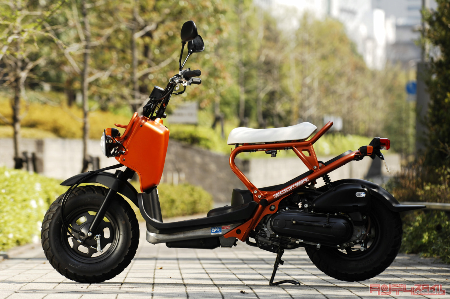 懐かしのカテゴリーを振り返る。みんな大好き50㏄!! HONDA ZOOMER DELUXE (2005) ：ギョロ目＋ホネホネ＋ファット ...